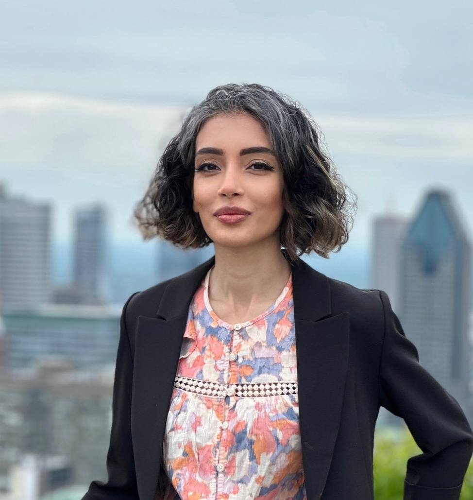 Professional Experience